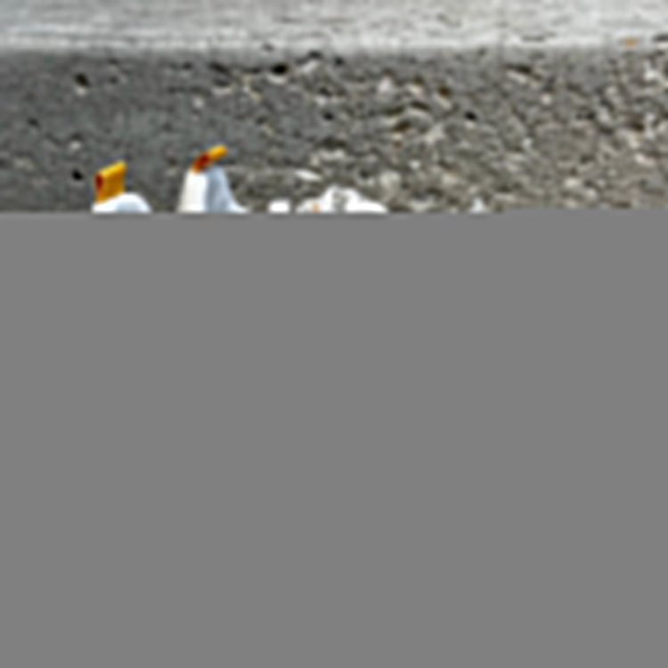 (shoo) is The Definition of Footwear – (shōō)